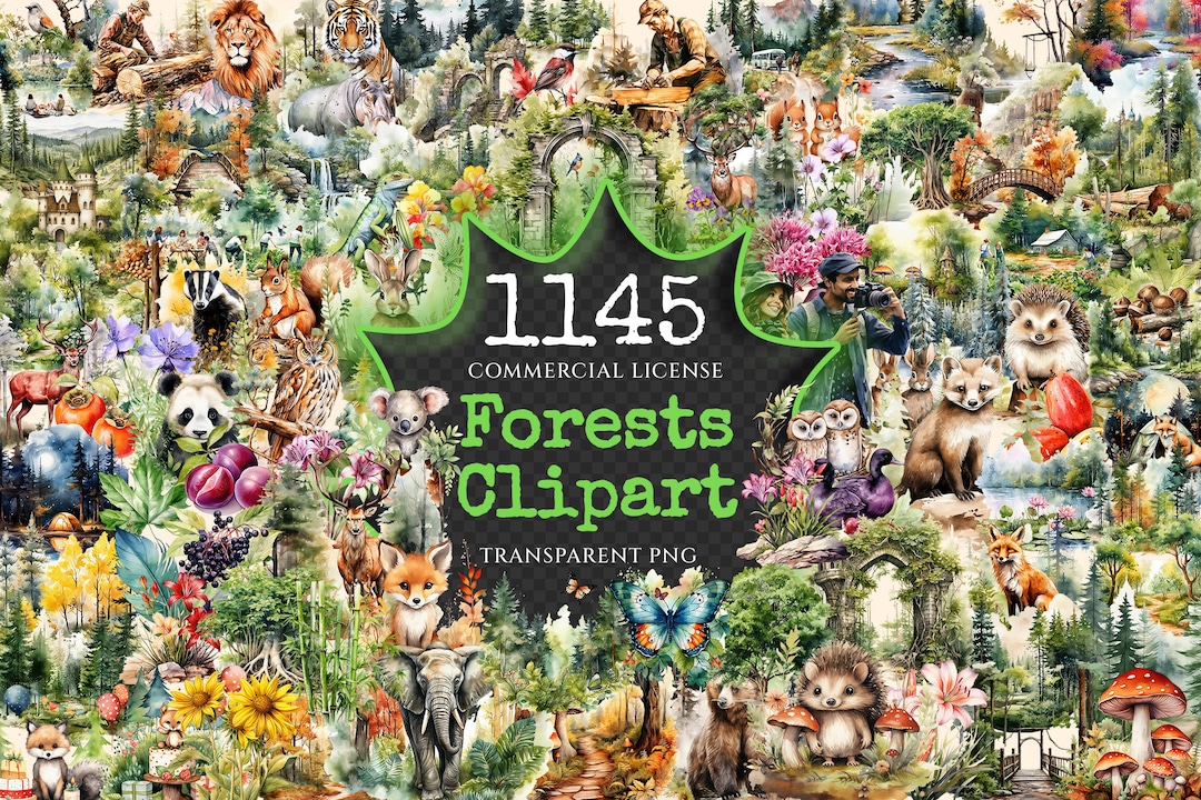 Forests Clipart Bundle – Woodland Nature Graphics, Transparent PNG ...