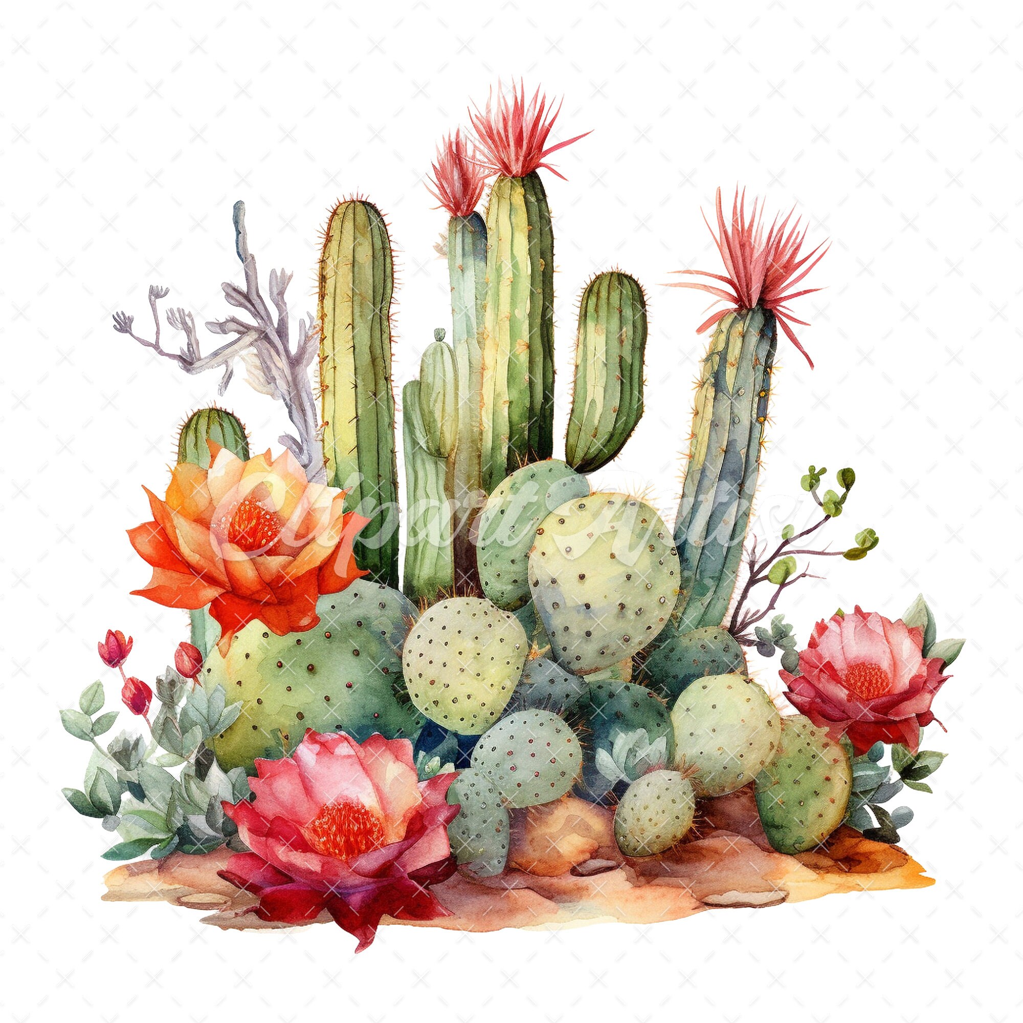 20 High-quality Desert Cacti Clipart - Desert Cacti Digital Watercolor ...