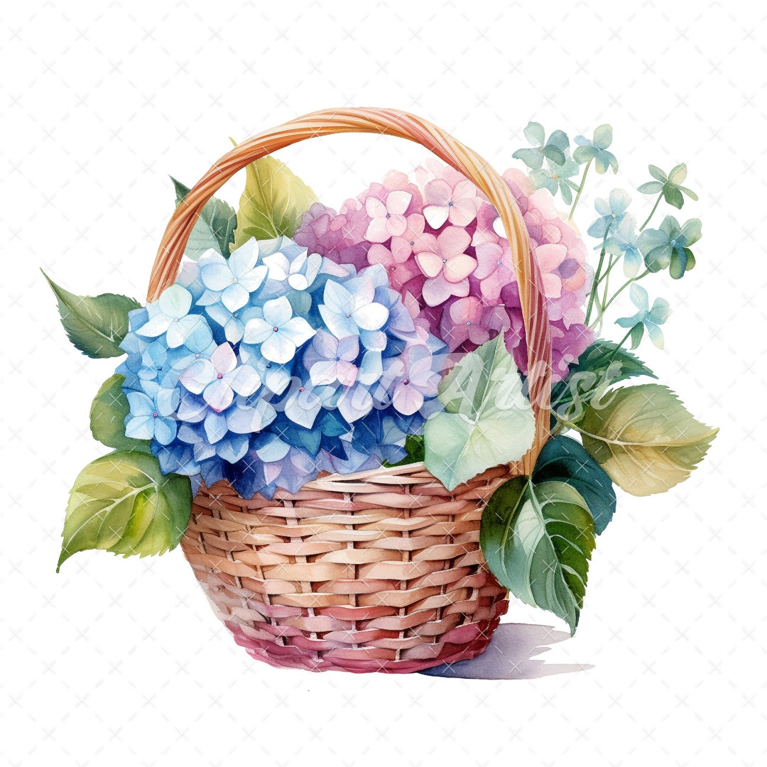 20 High-quality Hydrangea Basket Clipart Hydrangea Basket Digital ...