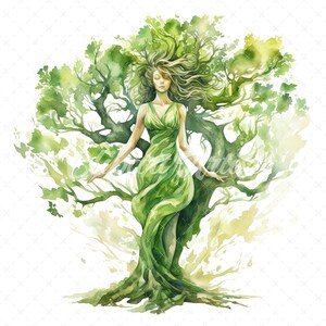 20 High-quality Forest Dryad Clipart - Forest Dryad Digital Watercolor ...