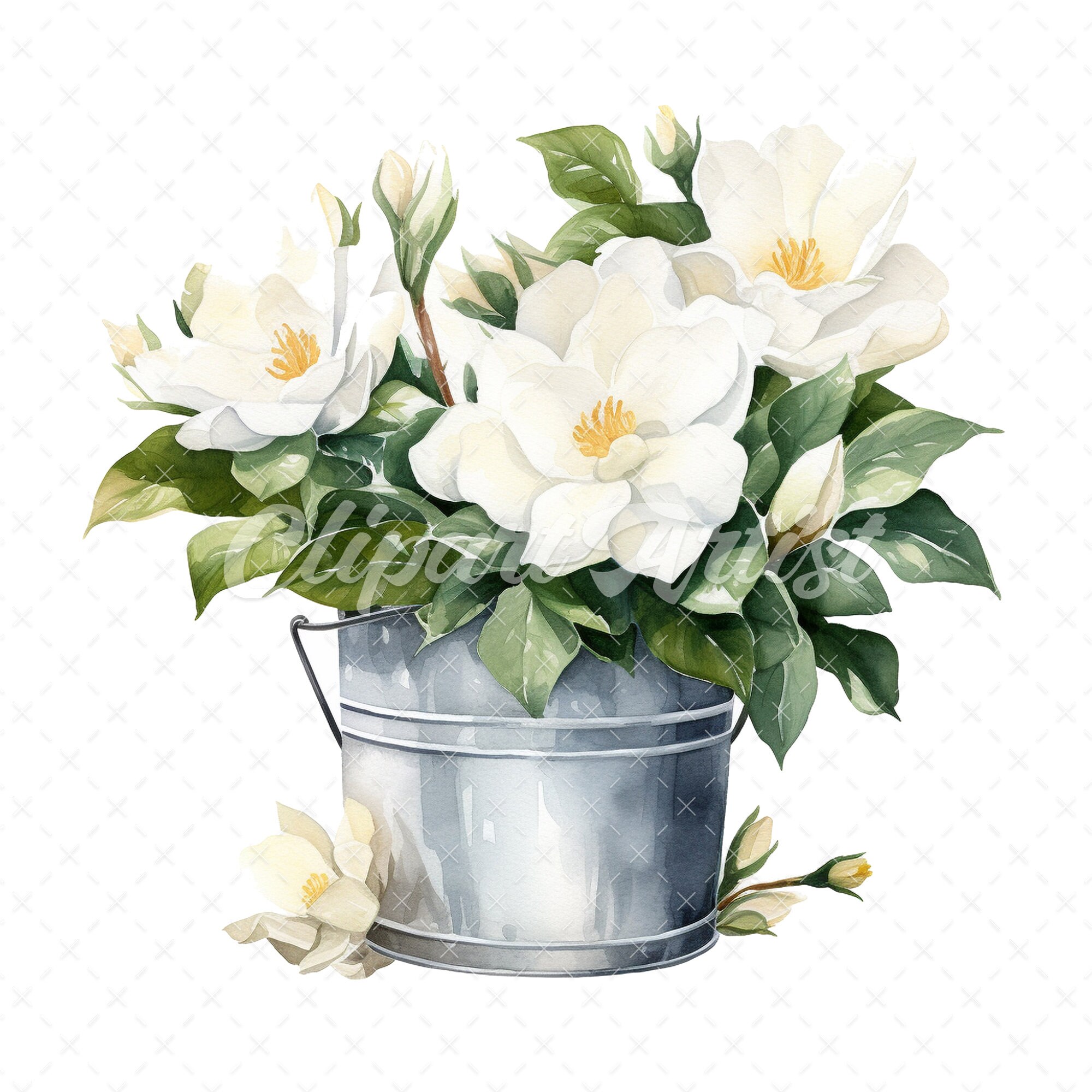 20 High-quality Gardenias Bucket Clipart Gardenias Bucket Digital ...