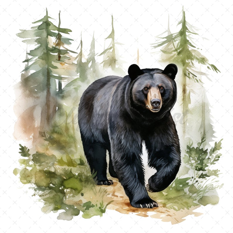 19 High-quality Black Bear Clipart Black Bear Digital - Etsy