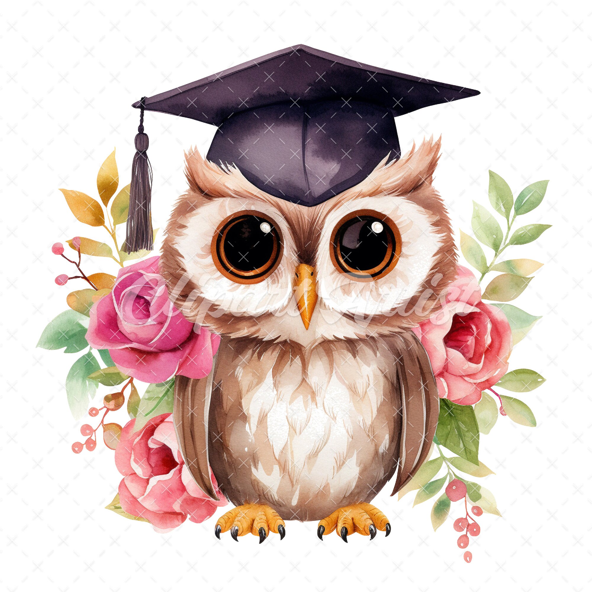 19 High-quality Graduation Owl Clipart Graduation Owl Digital ...