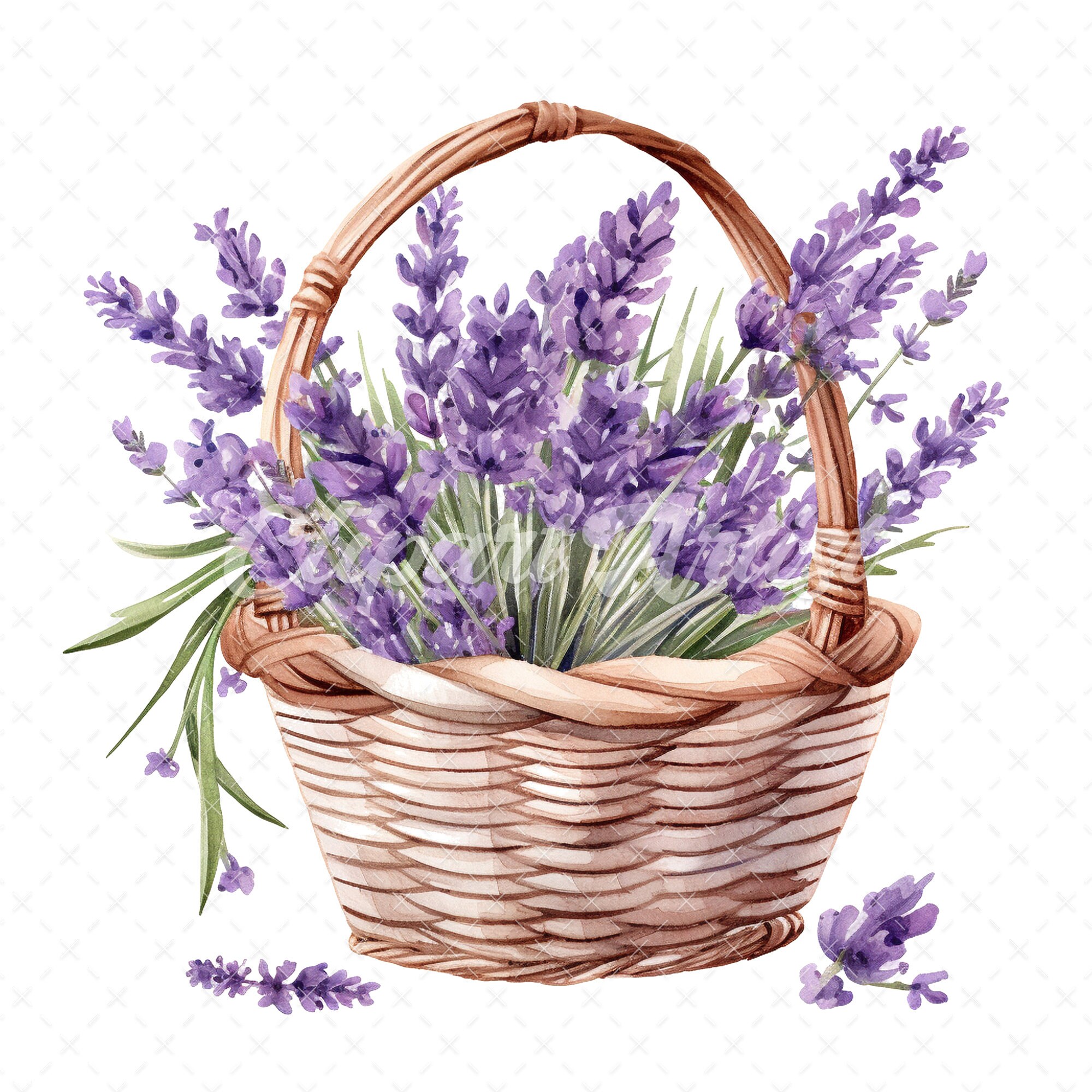 20 High-quality Lavender Basket Clipart Lavender Basket - Etsy