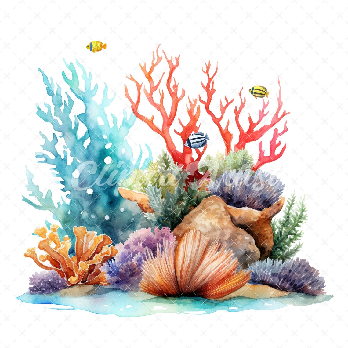 19 High-quality Reef Clipart Reef Digital Watercolor JPG - Etsy