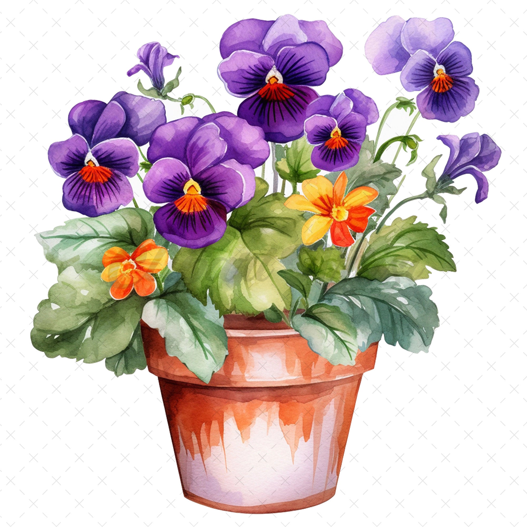 20 High-quality Colorful Flower Pots Clipart Colorful Flower Watercolor ...