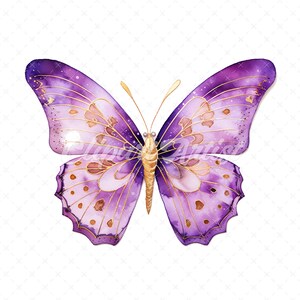 20 High-quality Purple Gold Butterfly Clipart - Butterfly Digital ...