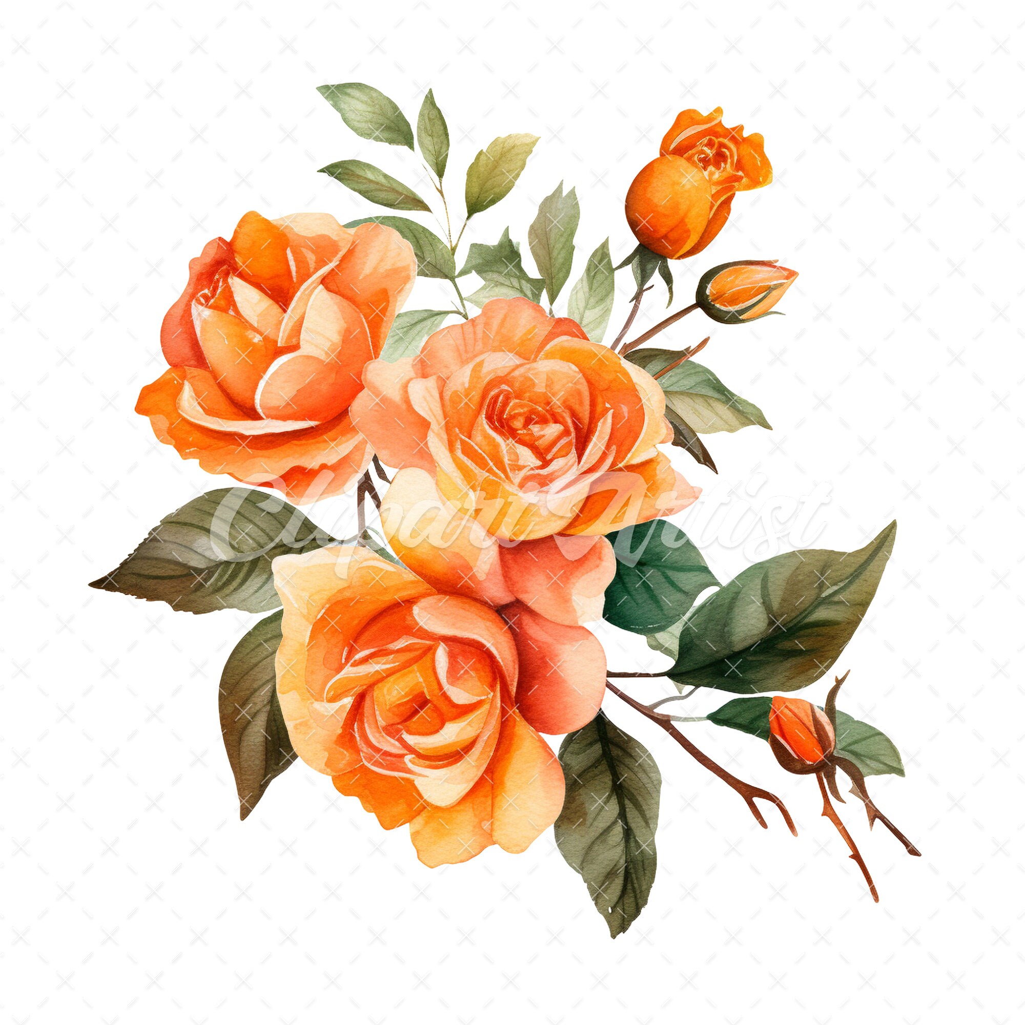 20 High-quality Orange Rose Clipart Orange Rose Digital Watercolor JPG ...
