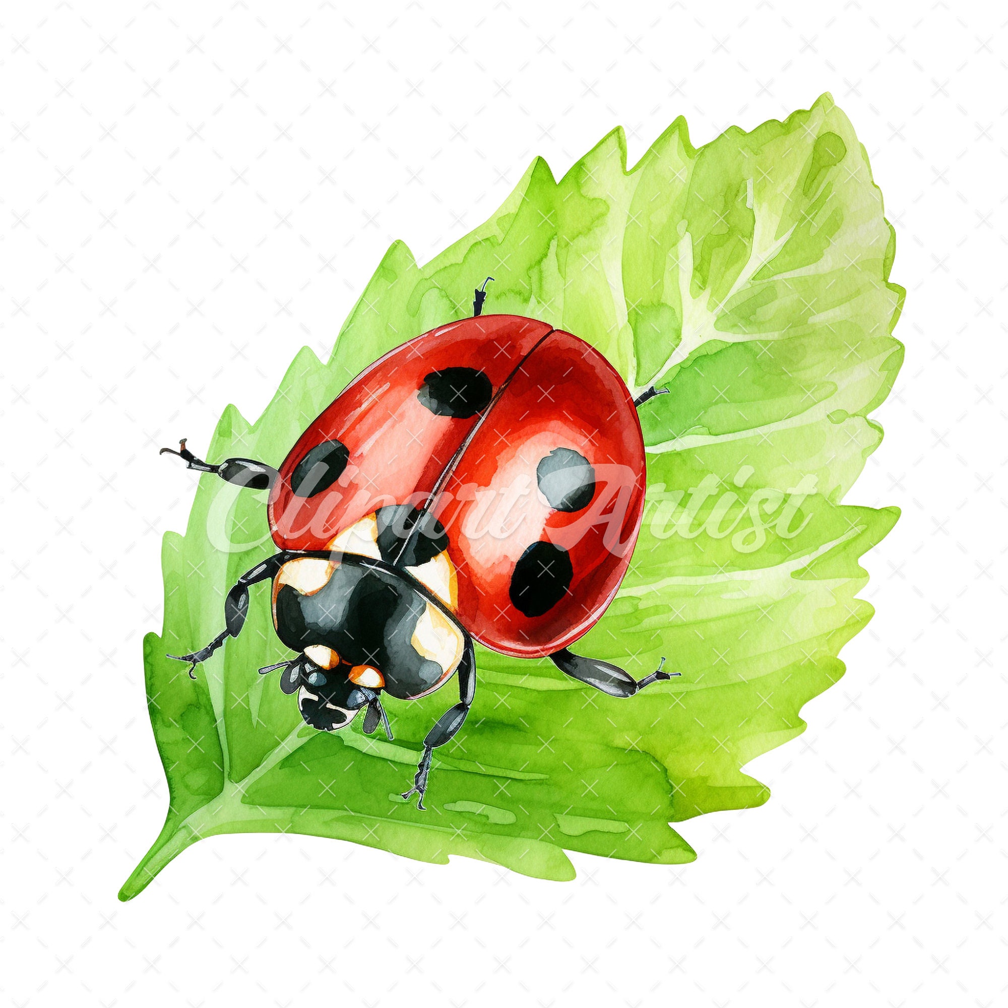 20 High-quality Ladybug on Leaf Clipart Ladybug on Leaf Digital ...