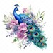 19 High-quality Peacock Bouquets Clipart - Peacock Bouquets Digital ...