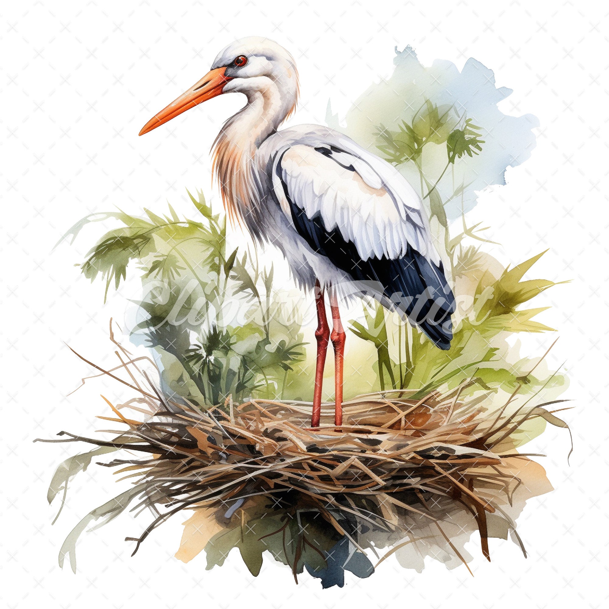 20 High-quality Stork Nest Clipart Stork Birds Digital - Etsy