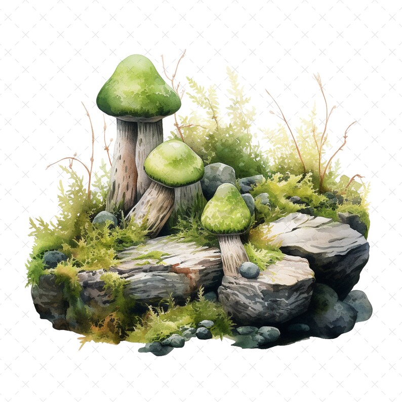 Mossy Rocks Watercolor Clipart – Forest Stone JPG (digital Download) - Etsy