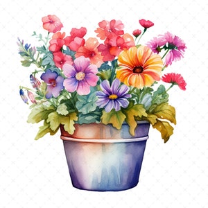 20 High-quality Colorful Flower Pots Clipart - Colorful Flower ...
