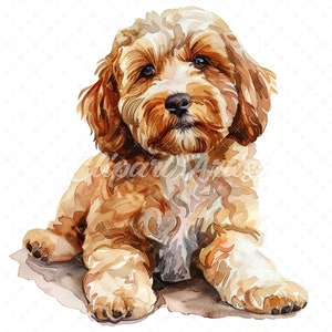 20 High-quality Cockapoo Portrait Clipart - Cockapoo Portrait Digital ...