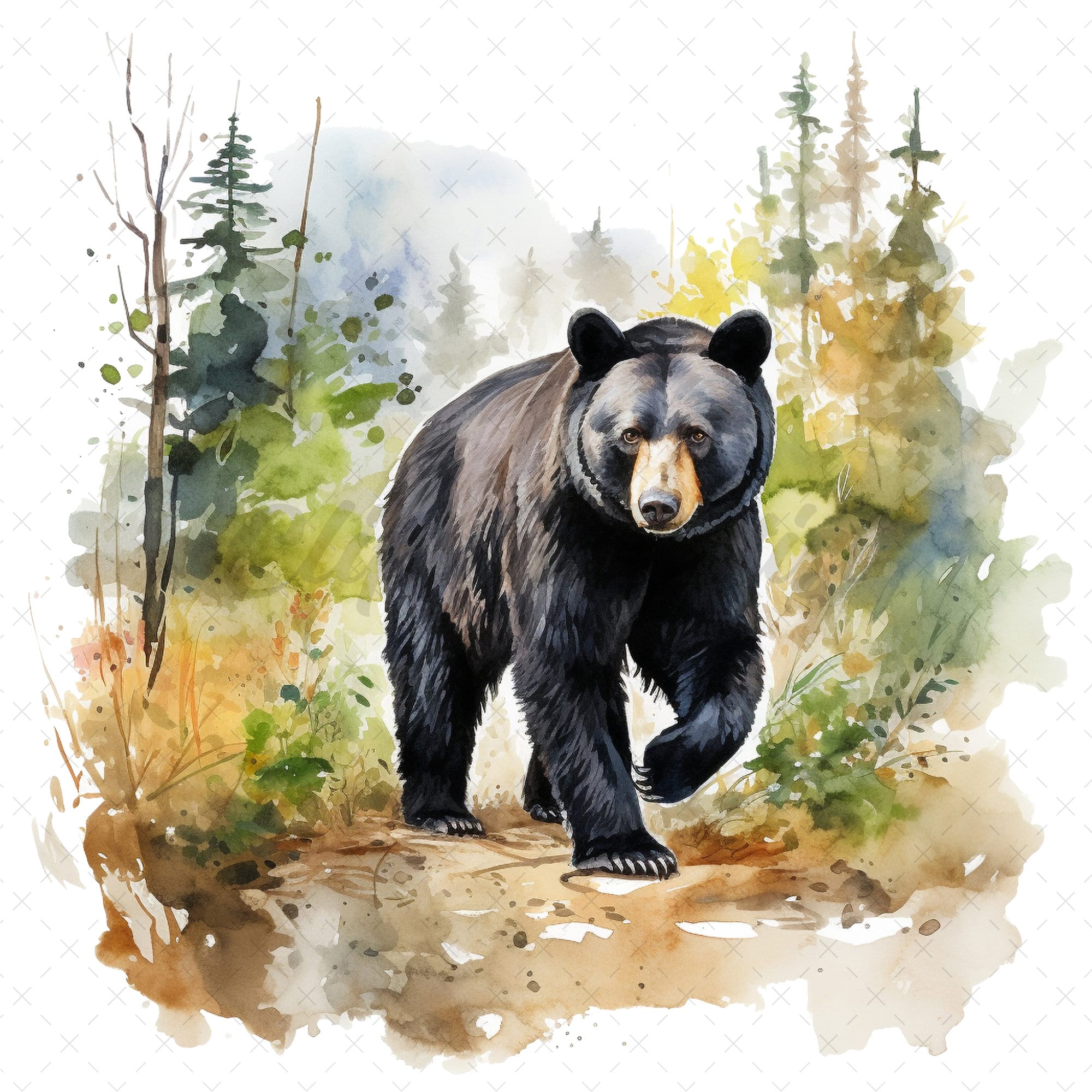 19 High-quality Black Bear Clipart Black Bear Digital - Etsy
