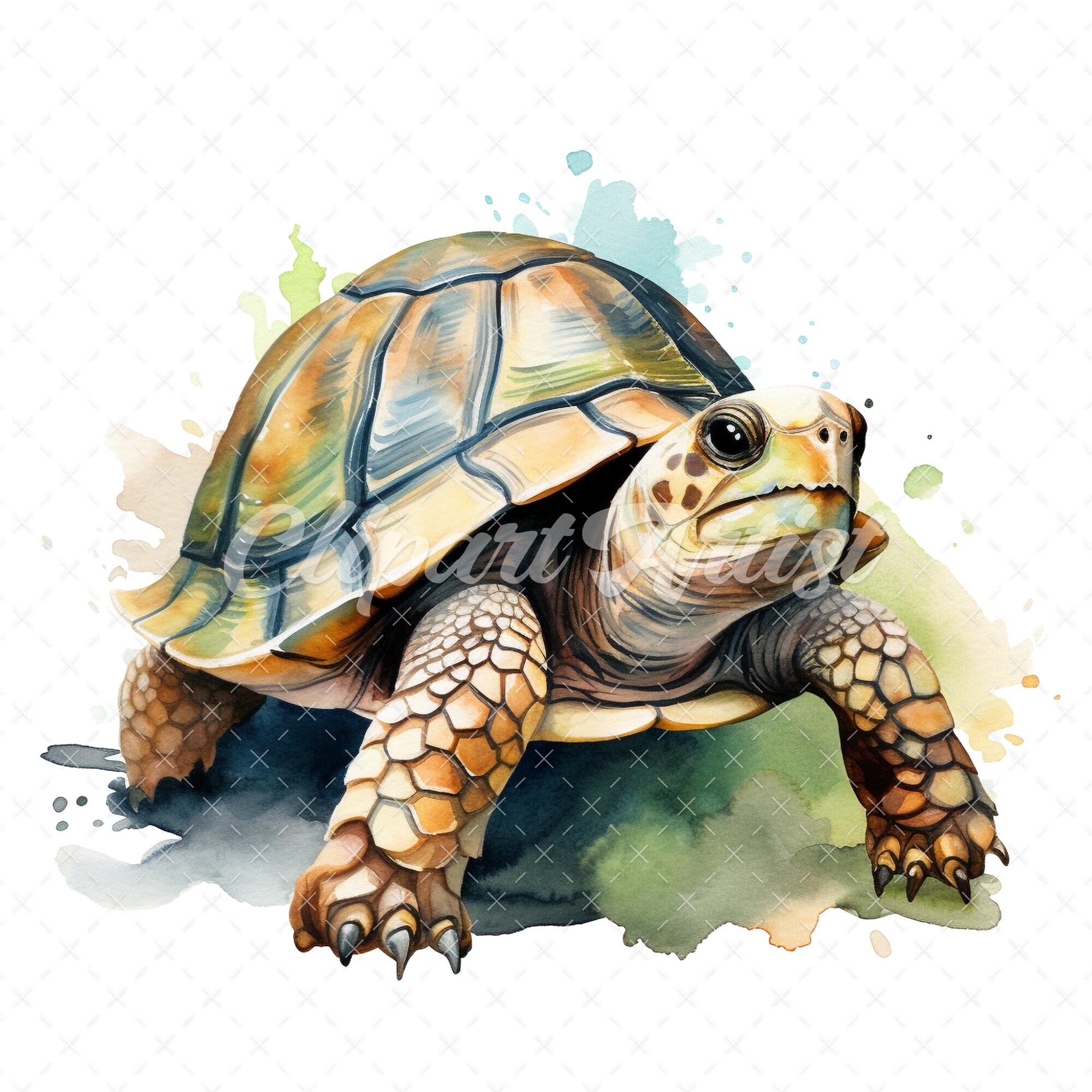 20 High-quality Cute Tortoise Clipart - Cute Tortoise Digital ...