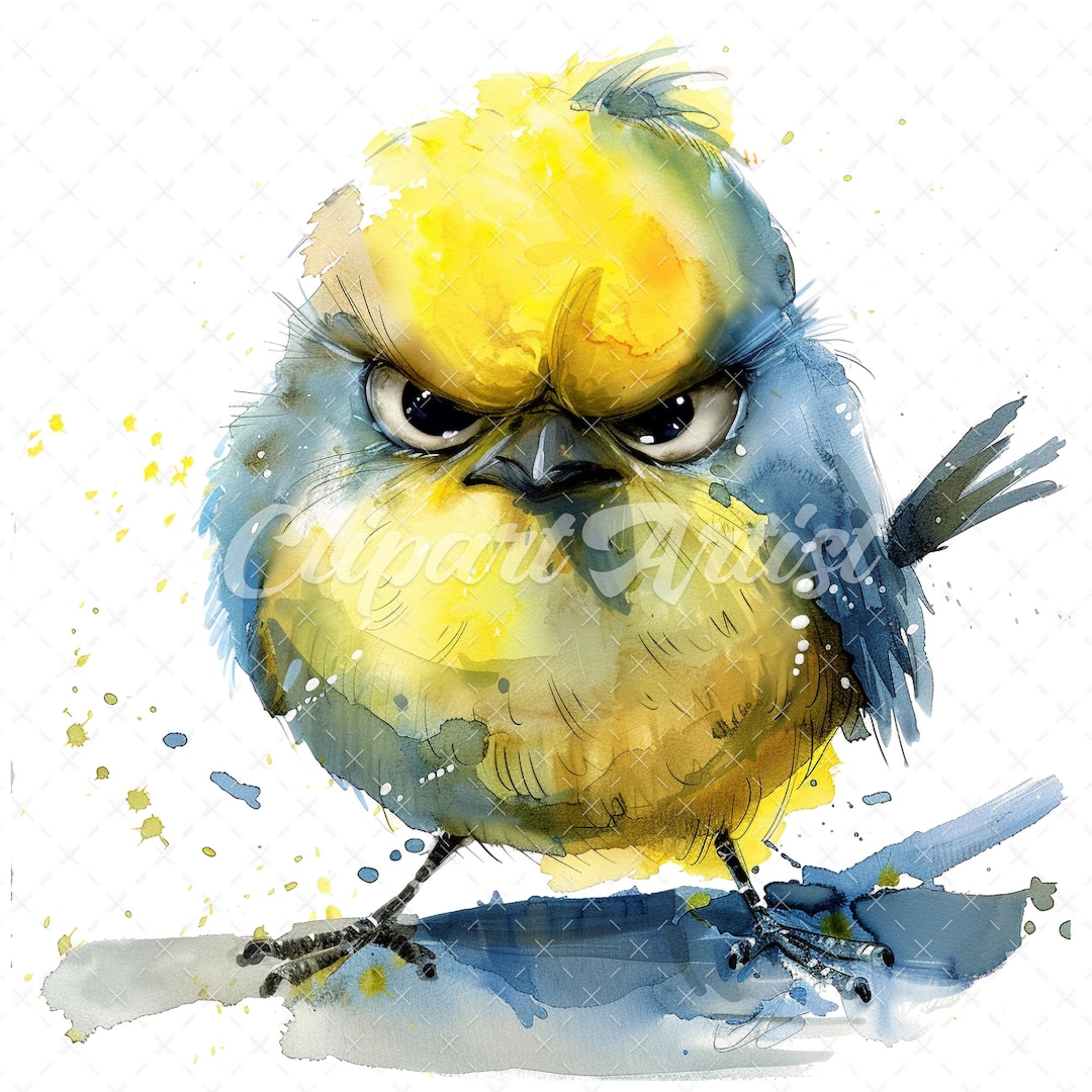 21 High-quality Cute Grumpy Birds Clipart - Cute Grumpy Birds Digital ...