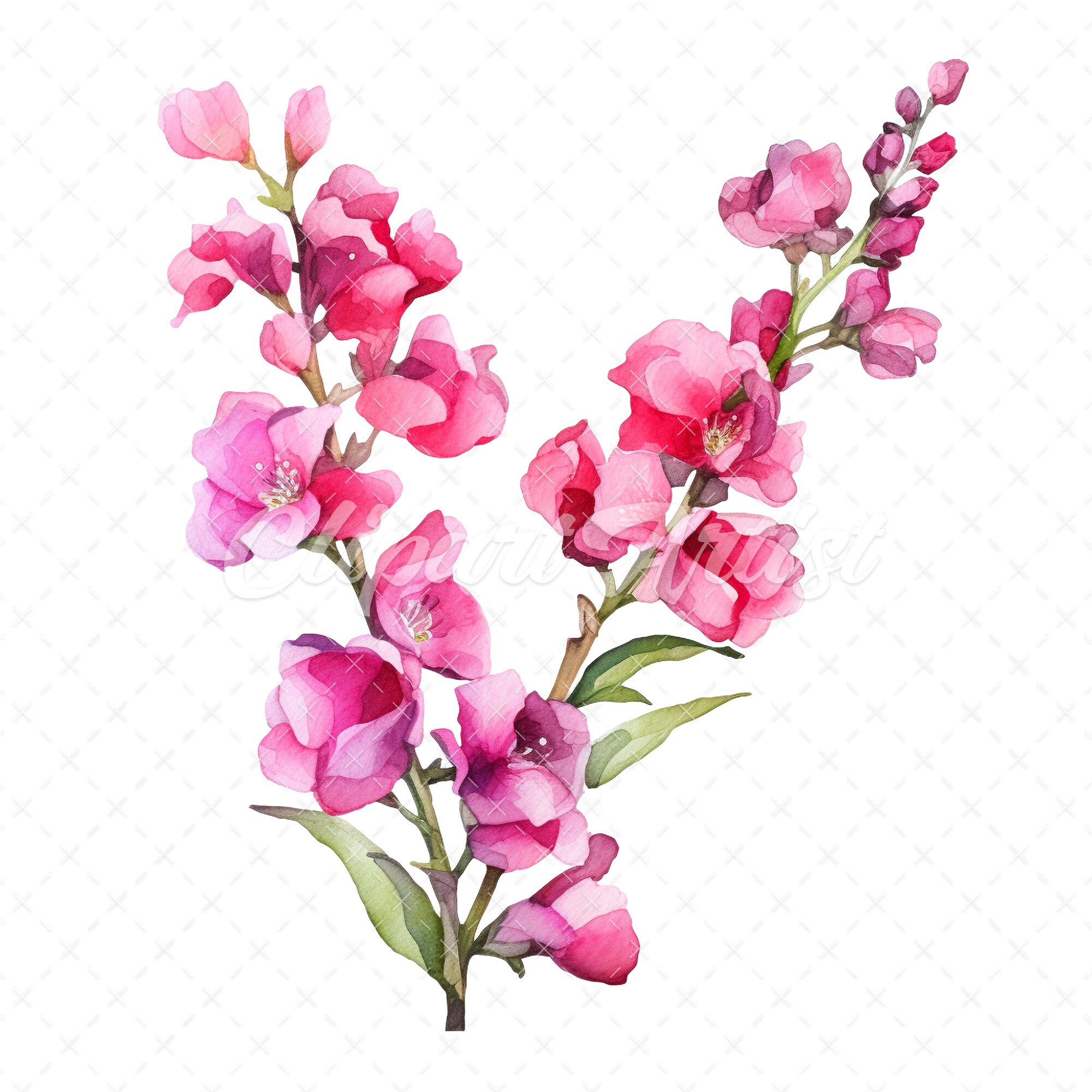 20 High-quality Snapdragon Clipart Snapdragon Flowers Digital ...