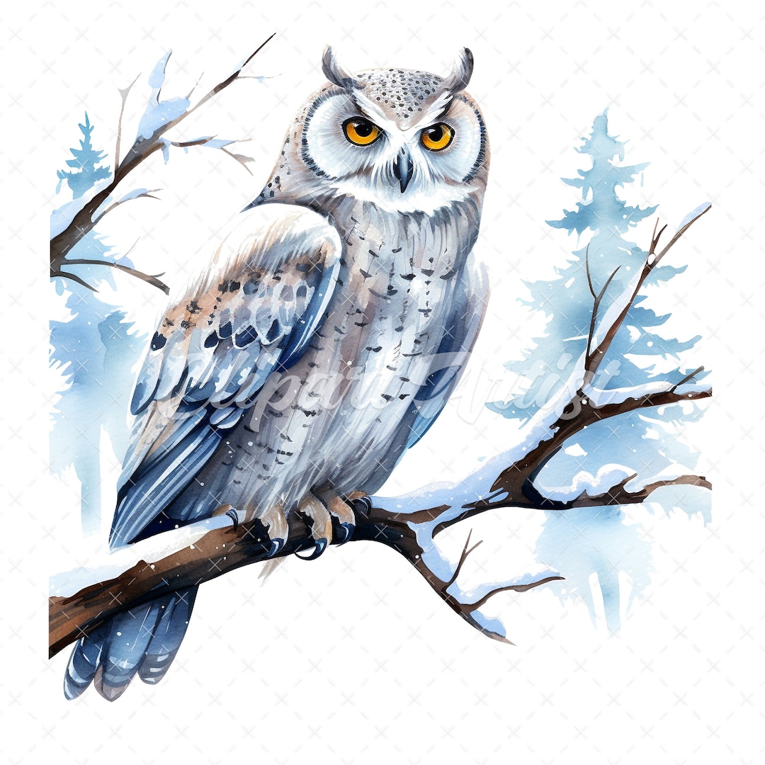 20 High-quality Winter Owls Clipart Winter Owls Digital Watercolor JPG ...