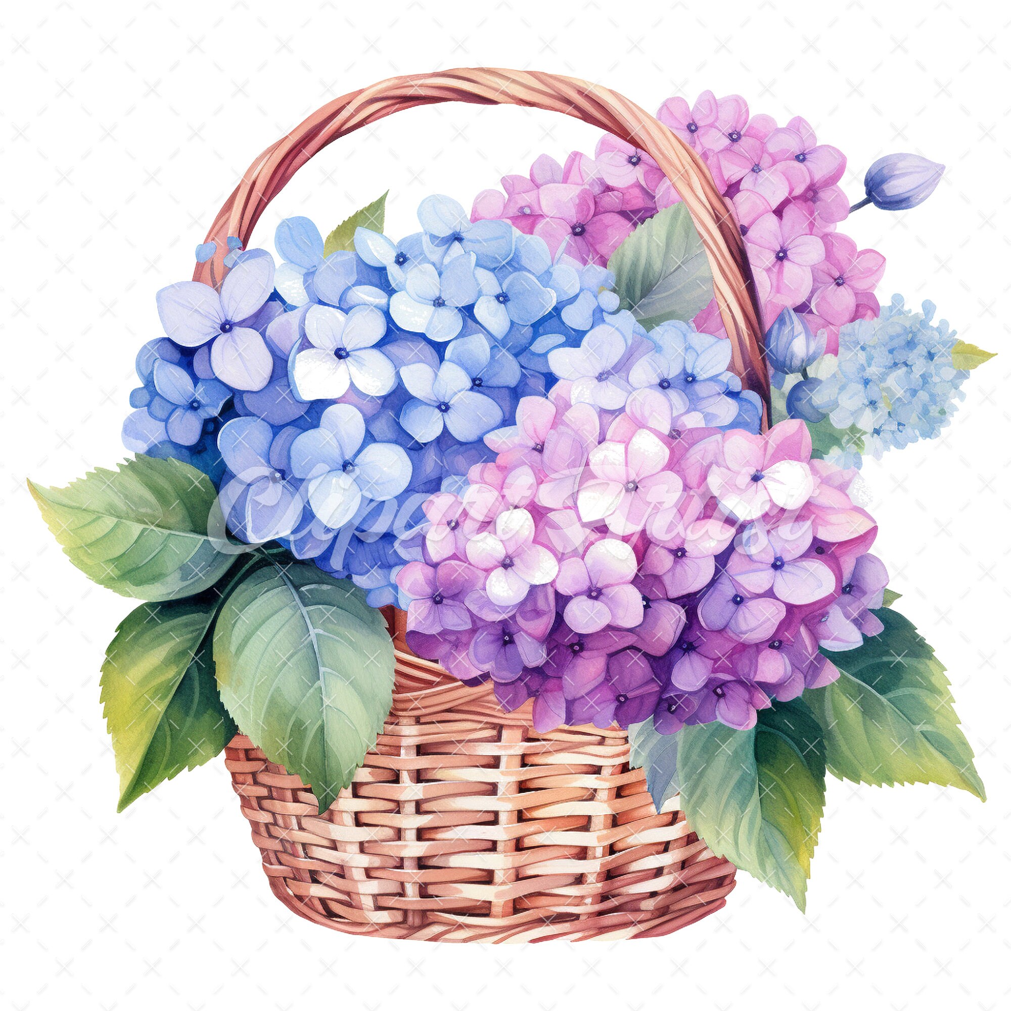 20 High-quality Hydrangea Basket Clipart Hydrangea Basket Digital ...