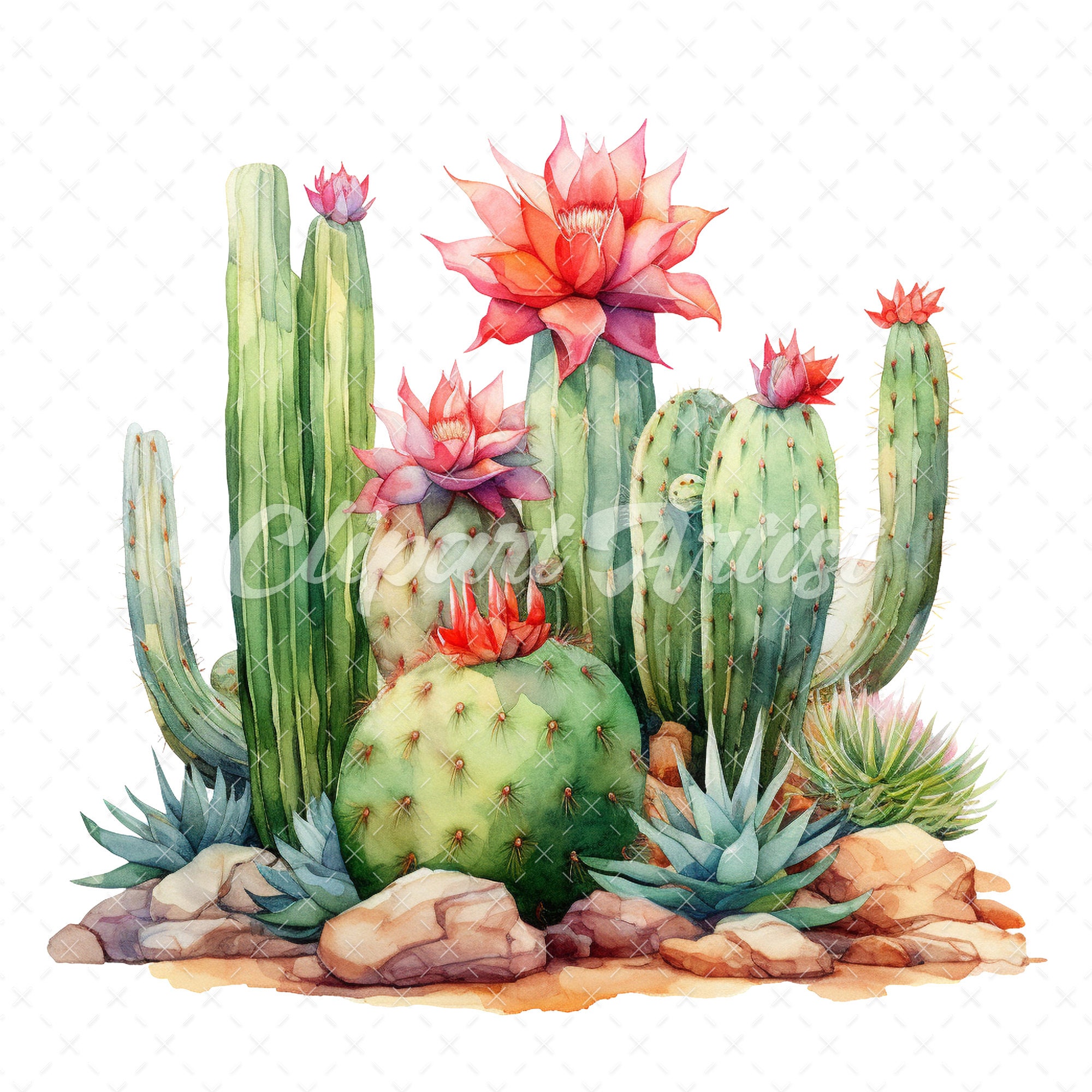 20 High-quality Desert Cacti Clipart Desert Cacti Digital - Etsy