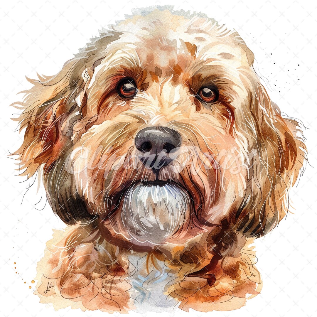 20 High-quality Cockapoo Portrait Clipart - Cockapoo Portrait Digital ...