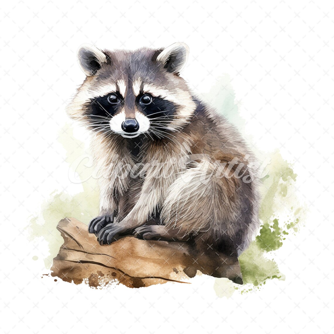 20 High-quality Raccoon Clipart Raccoon Digital Watercolor JPG Instant ...
