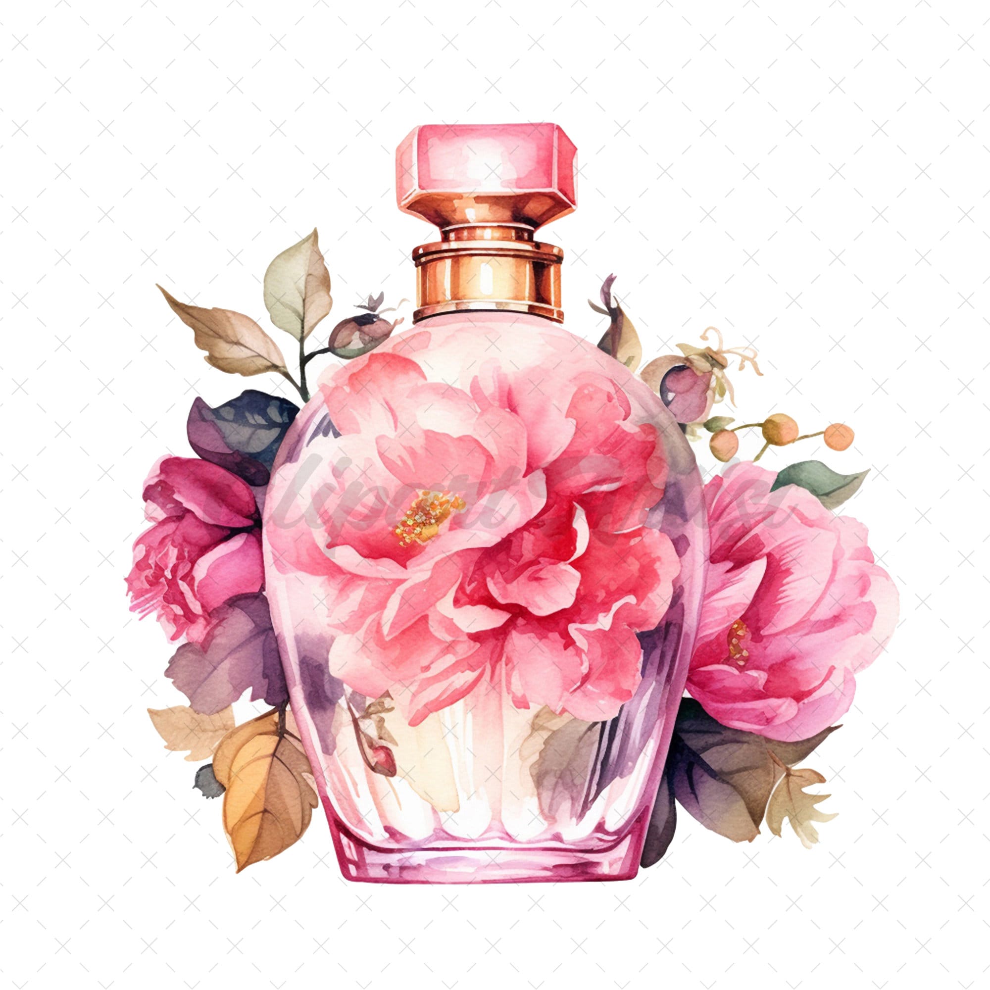 Floral Perfume Bottle Clipart – Watercolor Graphics (digital Download ...