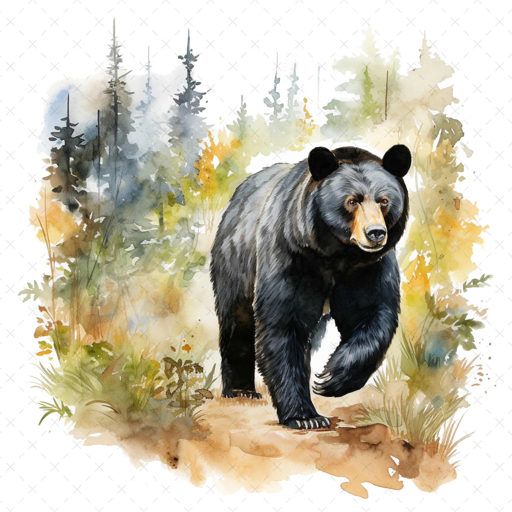 19 High-quality Black Bear Clipart Black Bear Digital - Etsy
