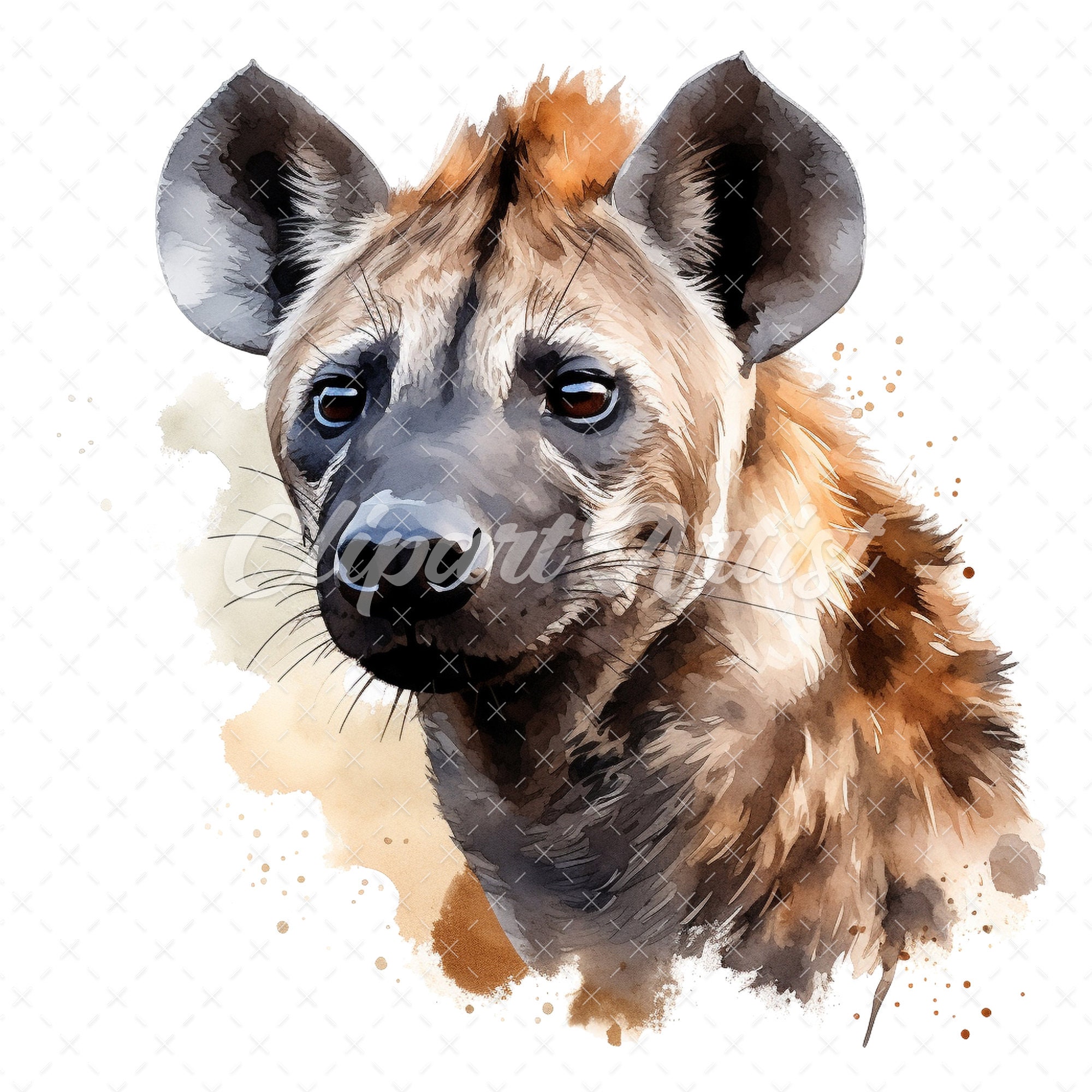20 High-quality Hyena Clipart - Hyena Digital Watercolor JPG Instant ...