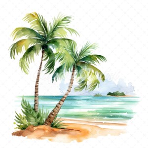 20 High-quality Tropical Beach Clipart Tropical Beach Digital ...