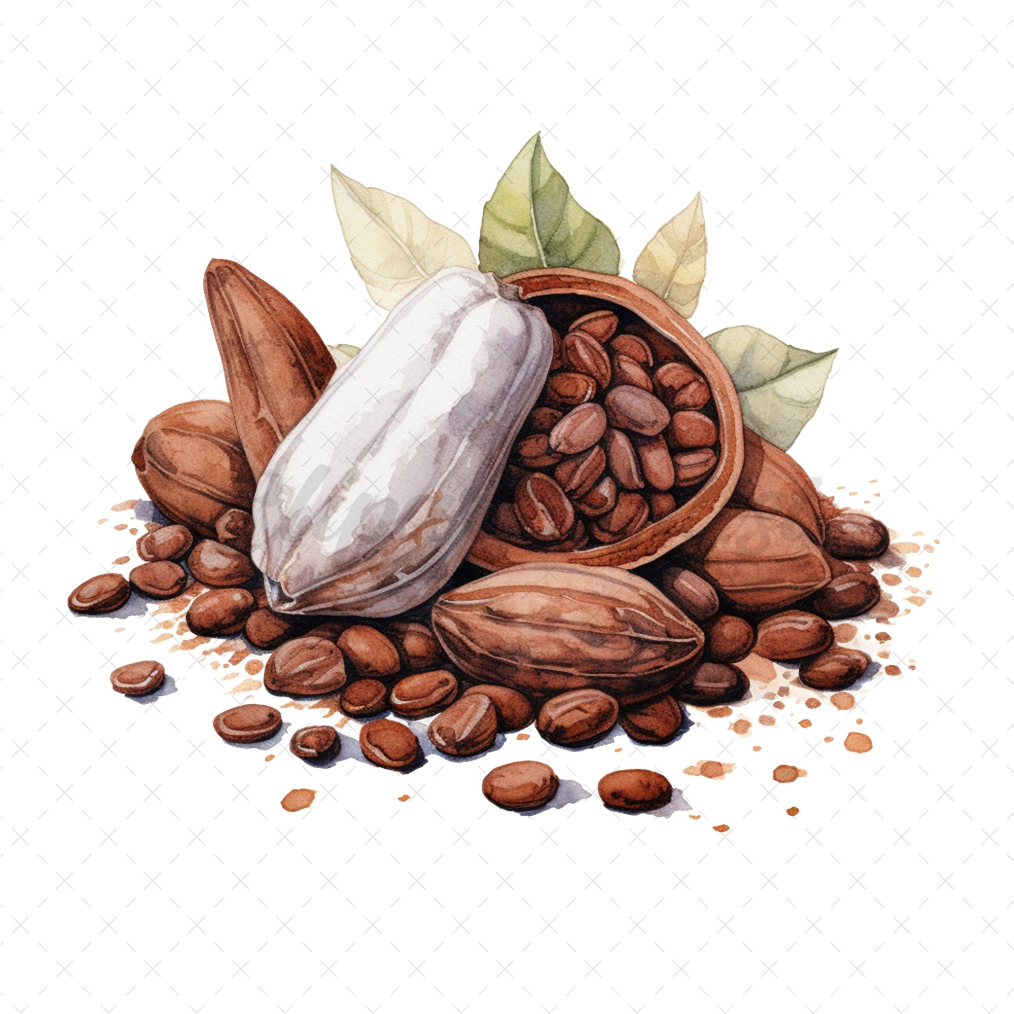 20 High-quality Sacred Cacao Clipart Sacred Cacao Digital - Etsy