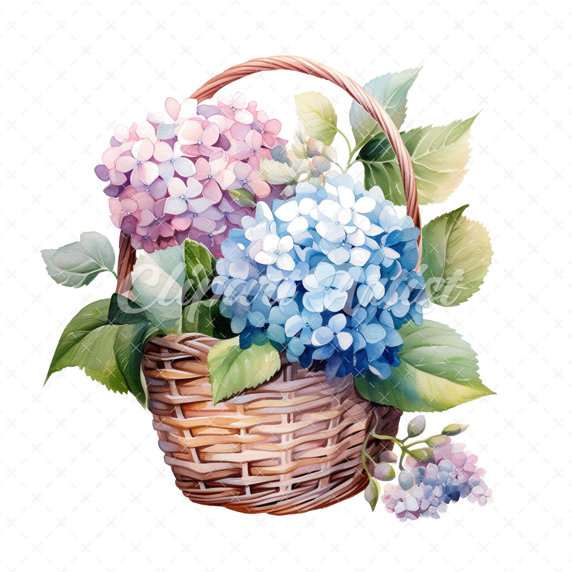 20 High-quality Hydrangea Basket Clipart Hydrangea Basket Digital ...