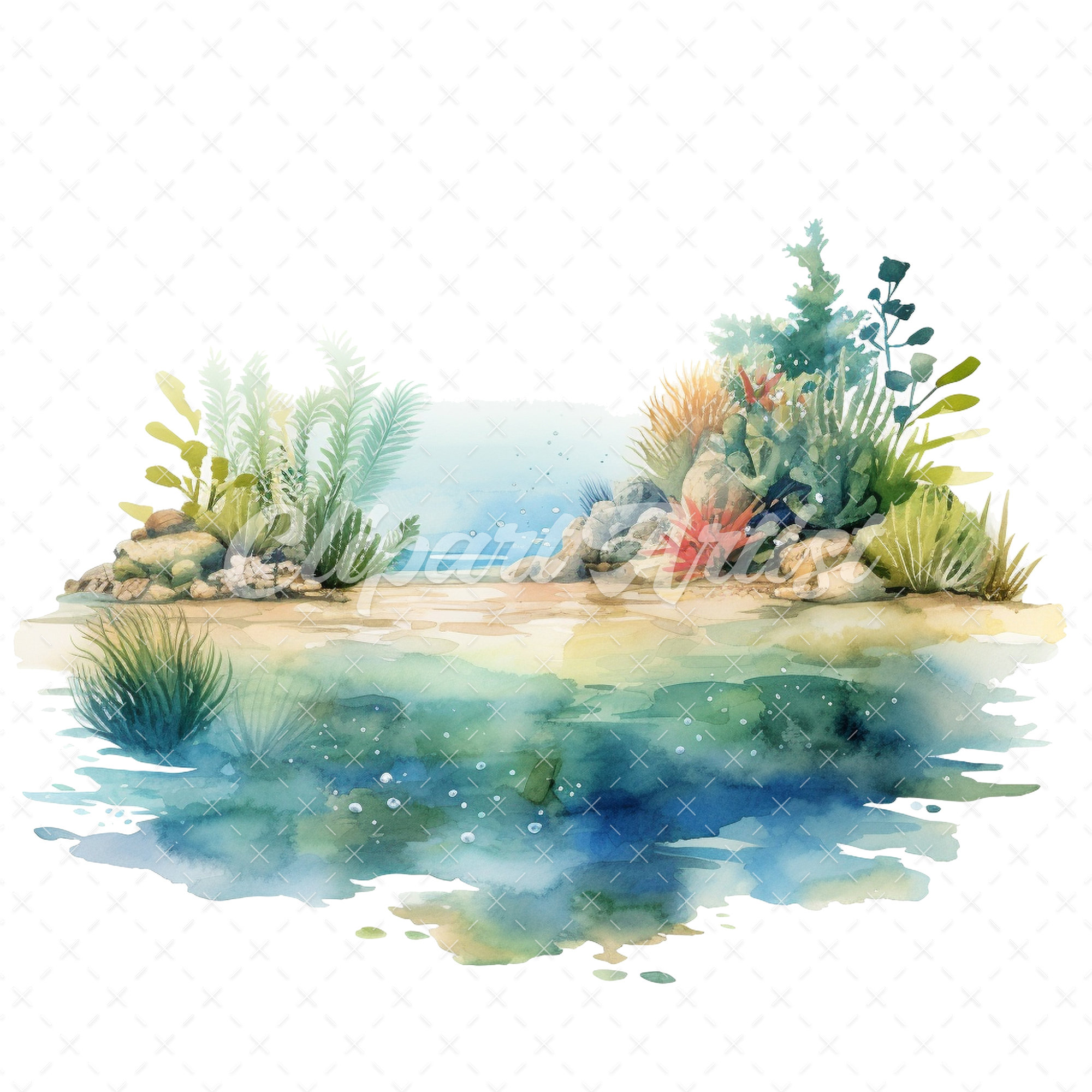 Underwater Watercolor Clipart – Ocean JPG Graphics (digital Download ...