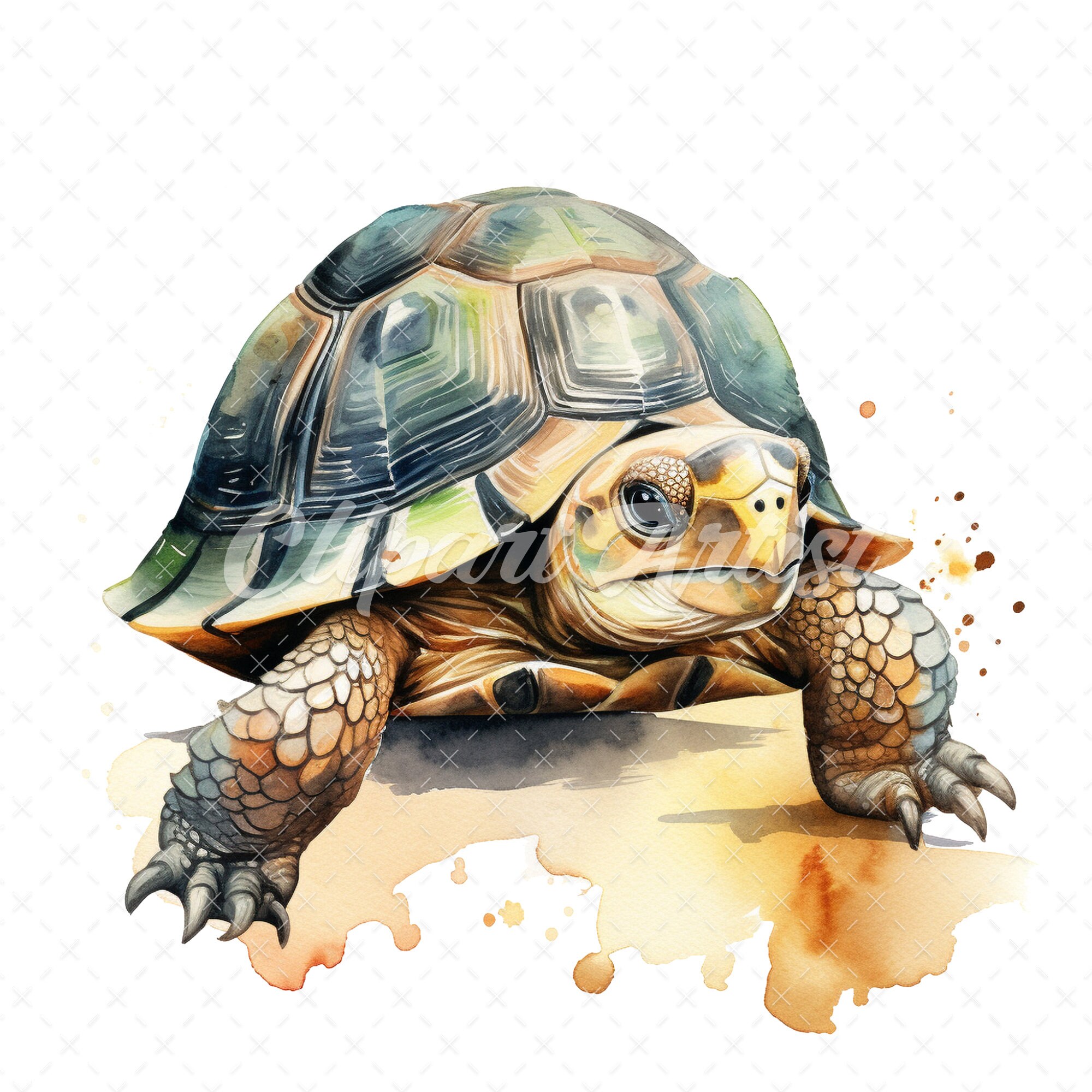 20 High-quality Cute Tortoise Clipart - Cute Tortoise Digital ...