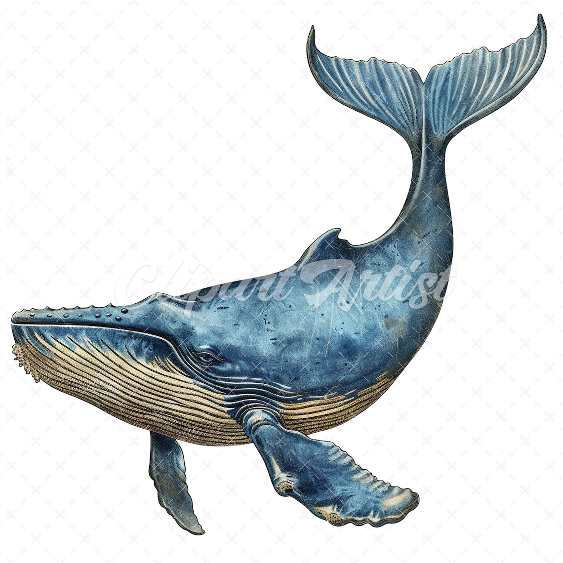 Blue Whale Watercolor Clipart – Commercial Use (digital Download) - Etsy