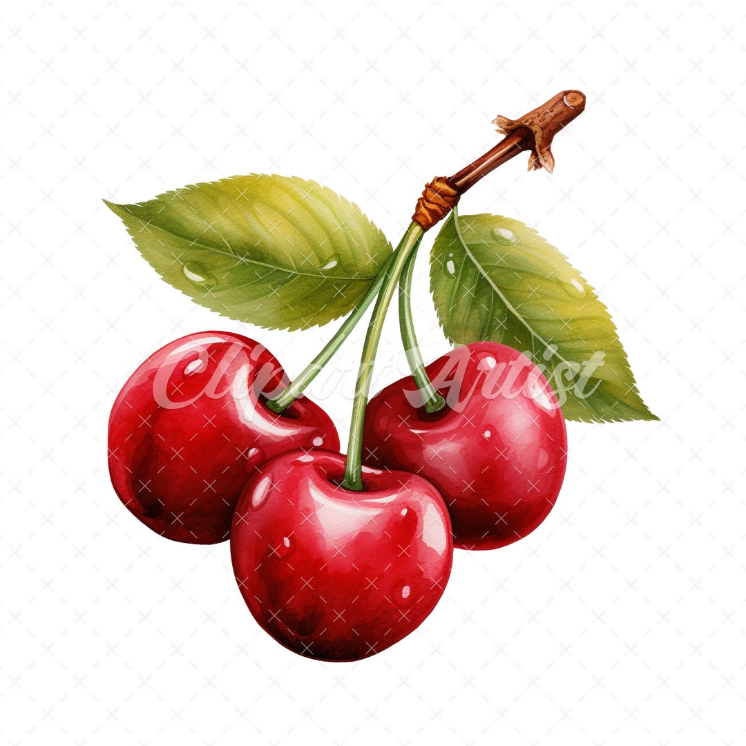 20 High-quality Cherry Clipart Cherry Digital Watercolor JPG Instant ...