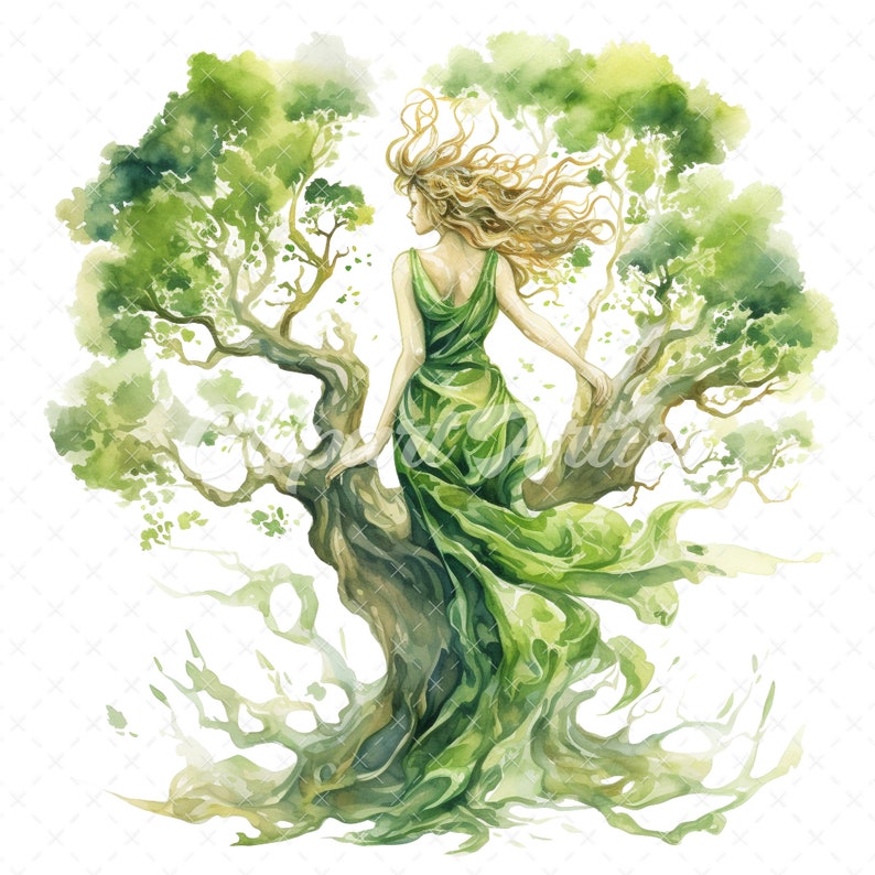 20 High-quality Forest Dryad Clipart Forest Dryad Digital - Etsy