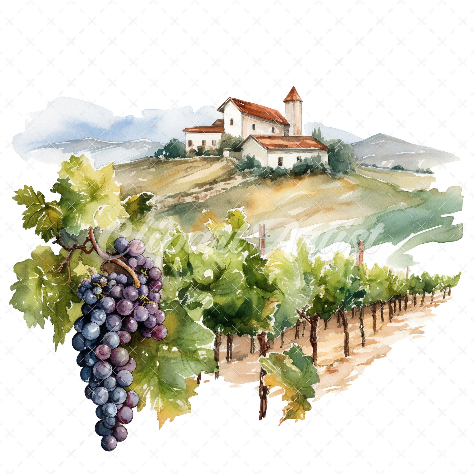 19 High-quality Vineyard Clipart Vineyard Digital Watercolor JPG ...