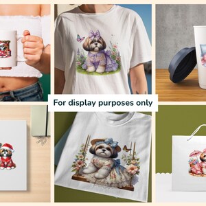 Shih Tzu PNG Clipart Collection - 50 PNG, Cute Shih Tzu Illustrations ...