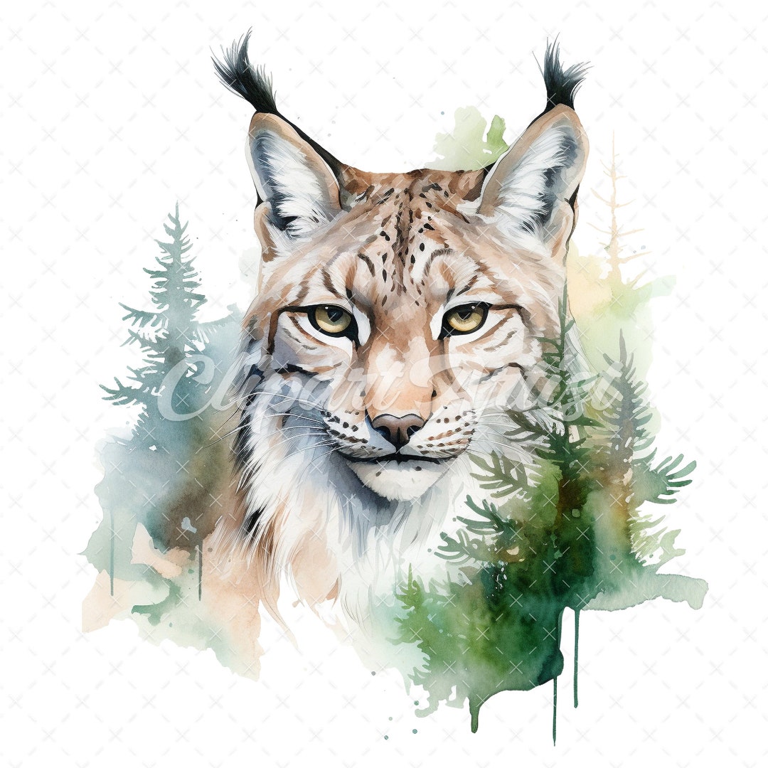 20 High-quality Lynx Clipart - Lynx Digital Watercolor JPG Instant ...