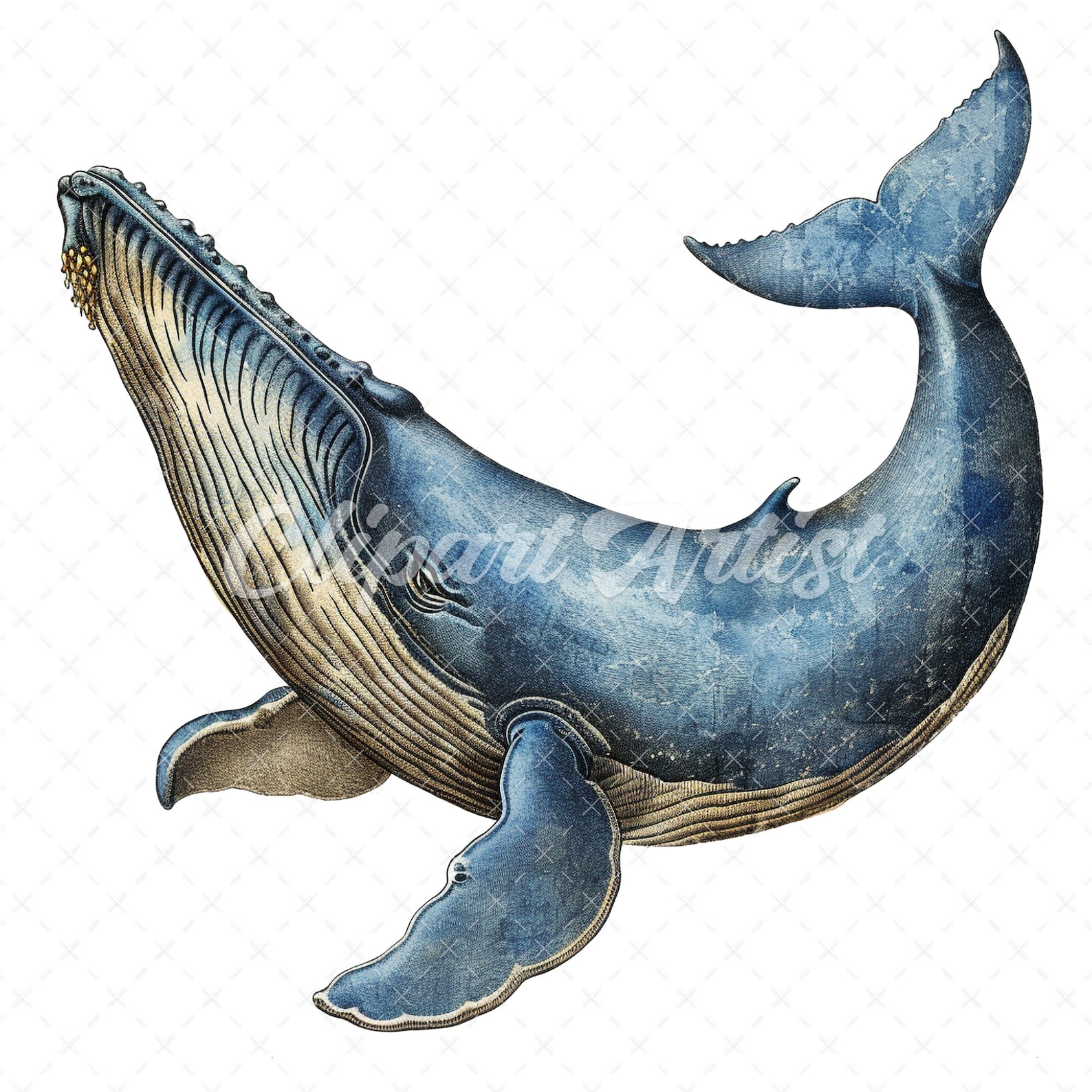Blue Whale Watercolor Clipart – Commercial Use (digital Download) - Etsy