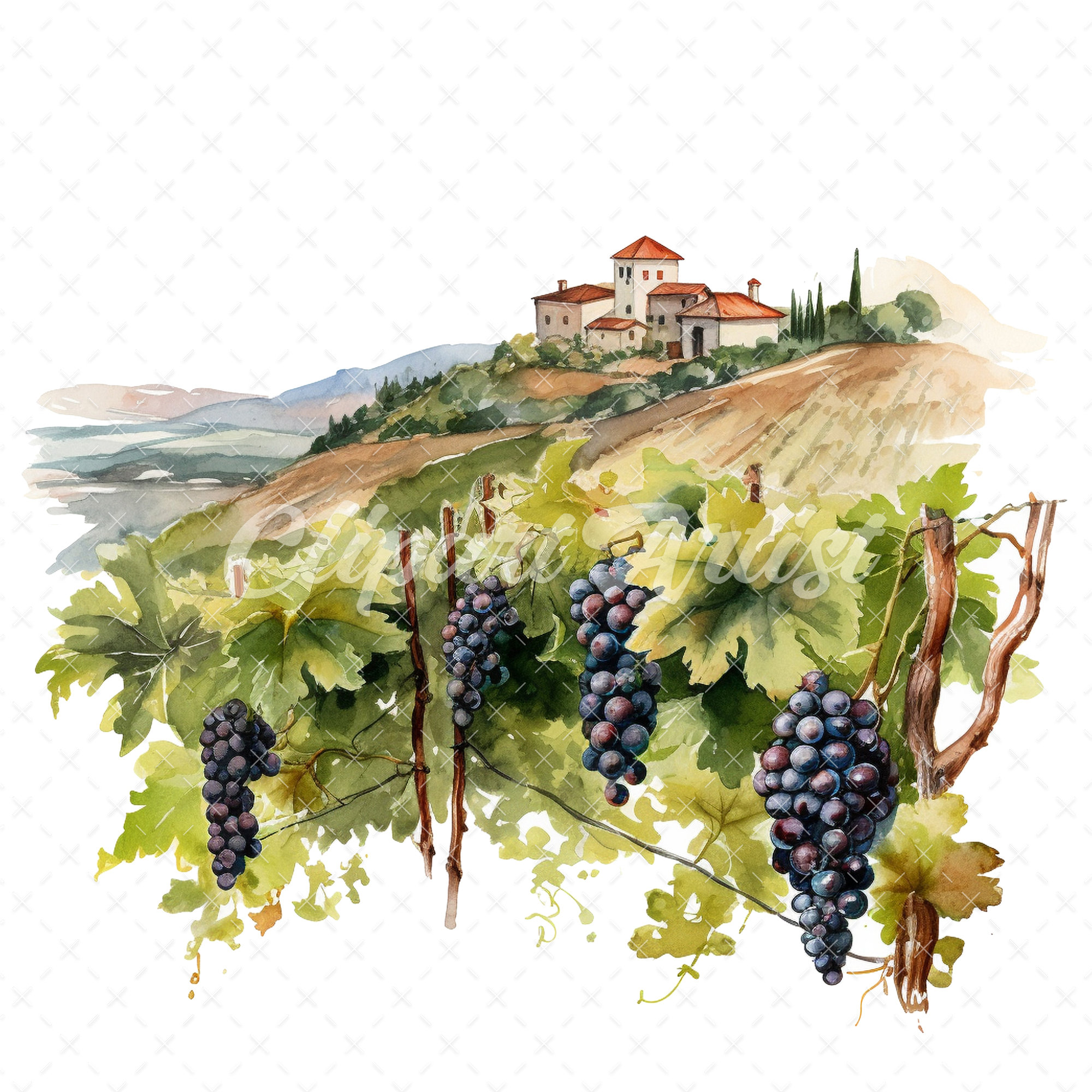 Watercolor Vineyard Clipart – Italian Landscape, Commercial Use ...