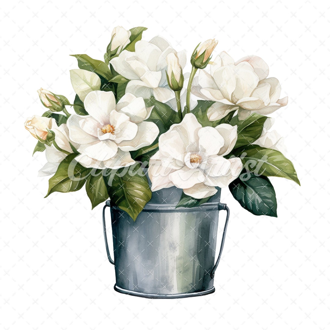 20 High-quality Gardenias Bucket Clipart Gardenias Bucket Digital ...