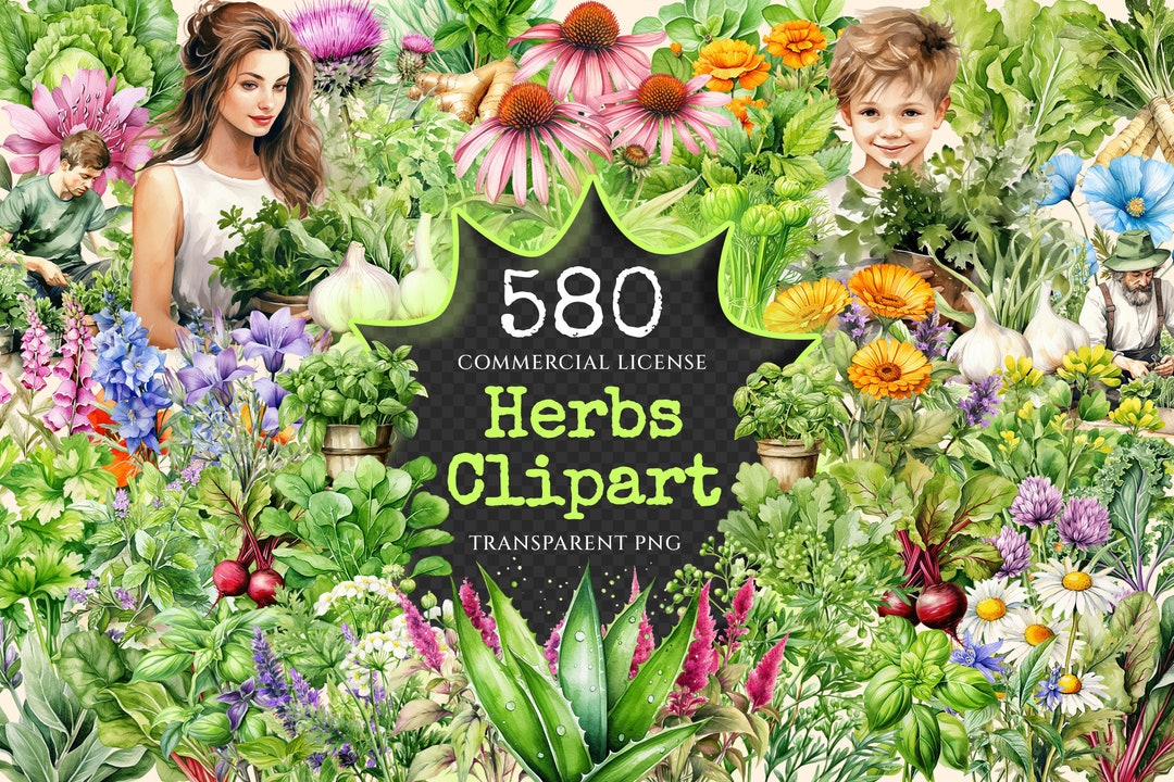 Watercolor Herbs Clipart Bundle – 575+ Herbal Plant PNG Images (digital ...