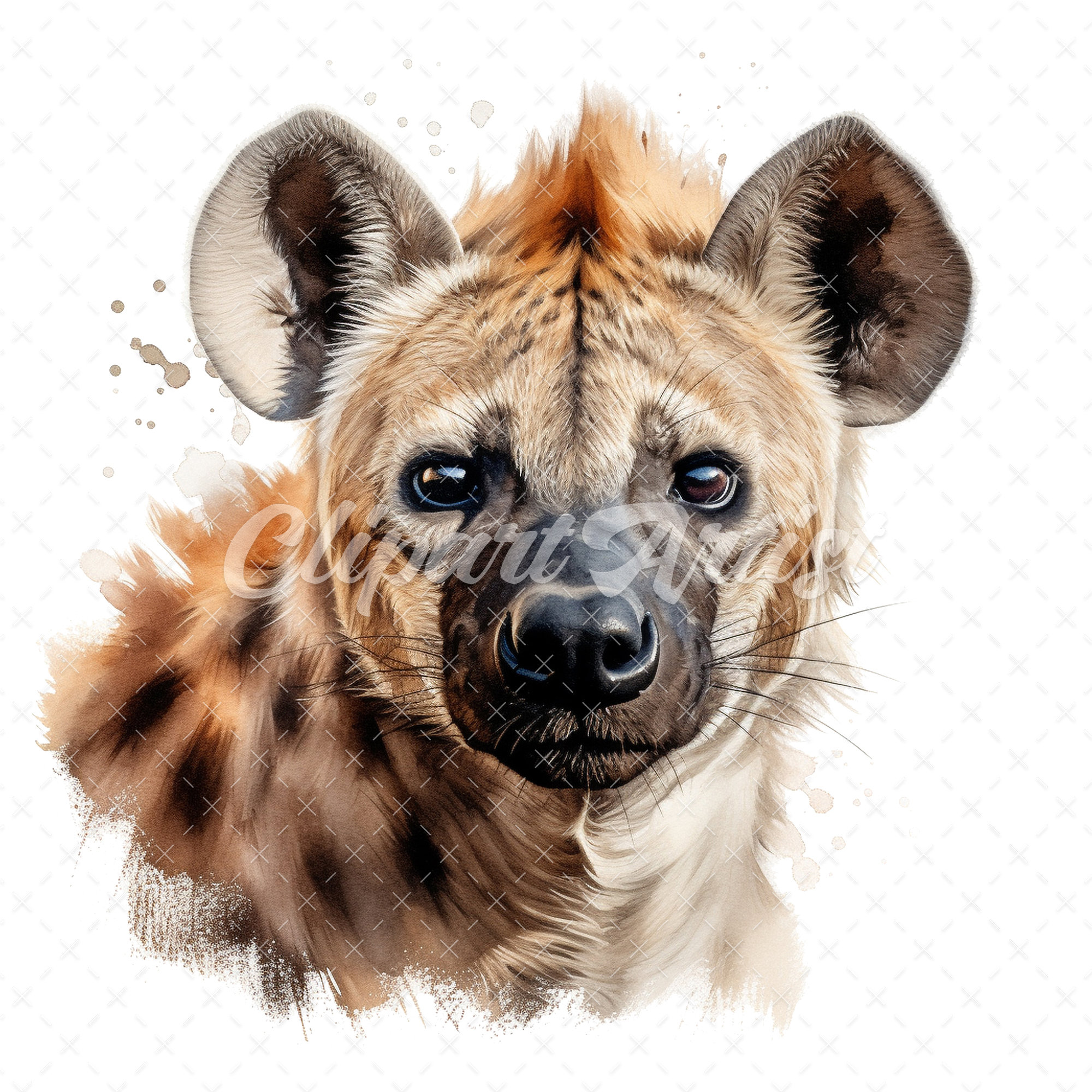 20 High-quality Hyena Clipart - Hyena Digital Watercolor JPG Instant ...