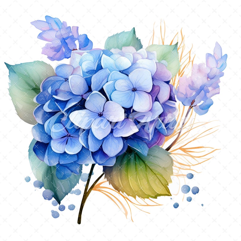 20 High-quality Hydrangea Clipart Hydrangea Flower Digital Watercolor ...