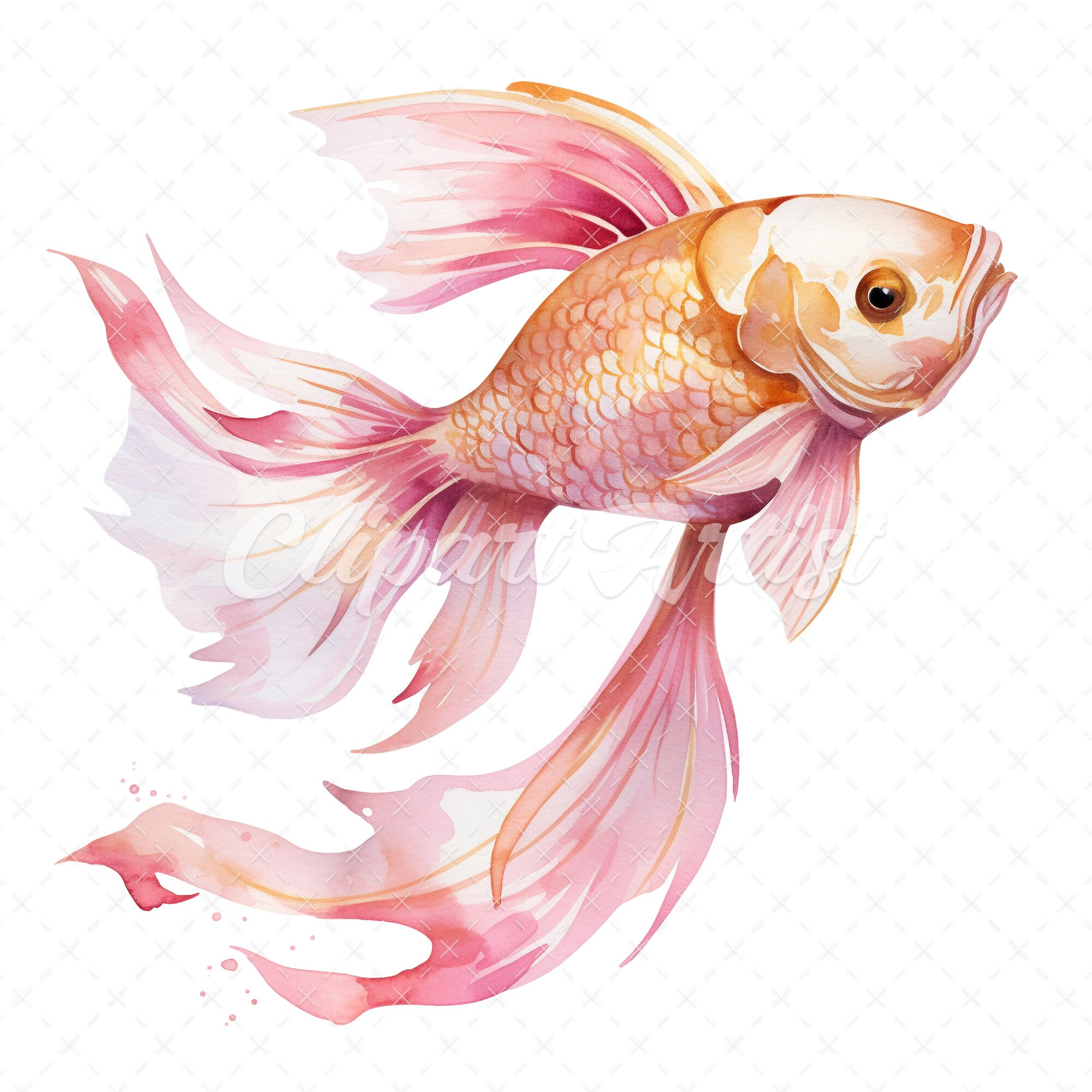 20 High-quality Baby Pink Koi Fish Clipart Koi Fish Digital Watercolor ...