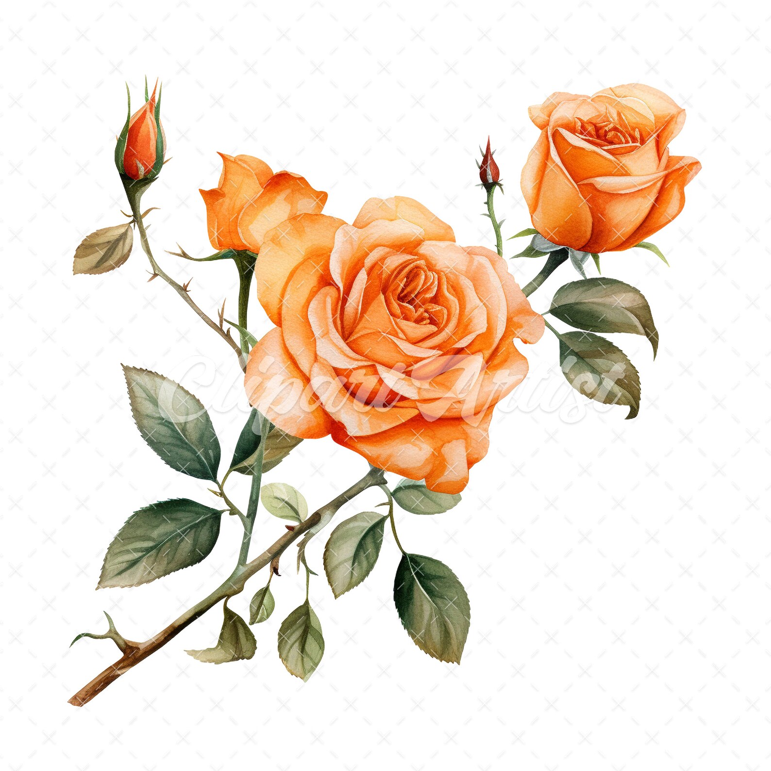 Orange Rose Watercolor Clipart – Floral Design Elements (digital ...
