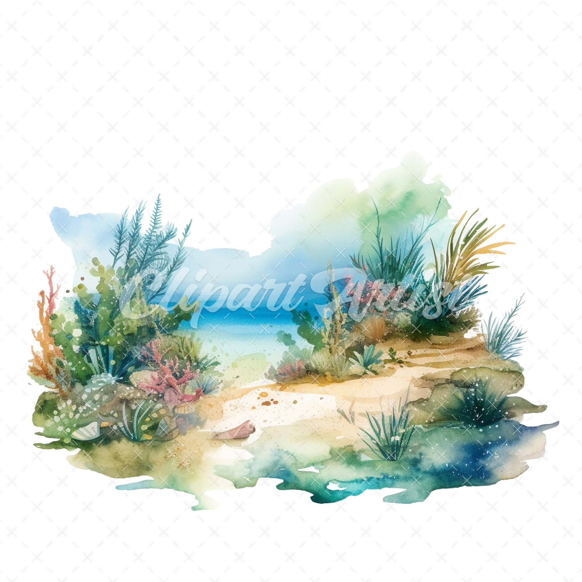 Underwater Watercolor Clipart – Ocean JPG Graphics (digital Download ...